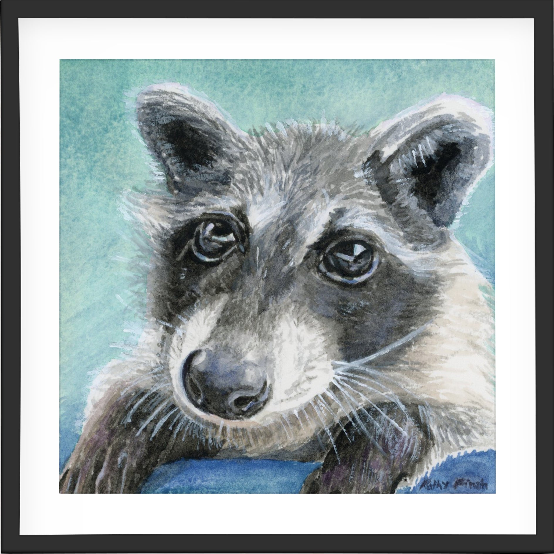 Rocky The Raccoon - Art Prints – Kathy Finch Fine Art